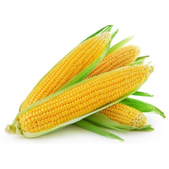 Sweet Corn Emulco-40G Corn Flavor Coloring (Oil-Soluble) | Shopee Singapore