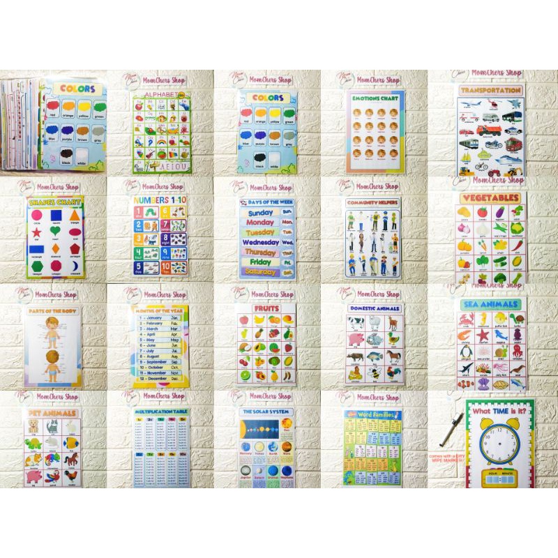 Laminated Educational Wall Charts for Kids A4-sized English | Shopee ...