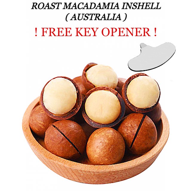 (BUTTER FLAVOUR) 1KG MACADAMIA IN SHELL ROASTED UNSALTED FROM (FREE KEY ...