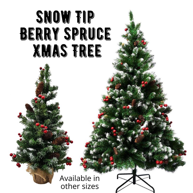 [SG Stock] Premium Snow Tip Berry Spruce Acorn Christmas Tree Xmas ...