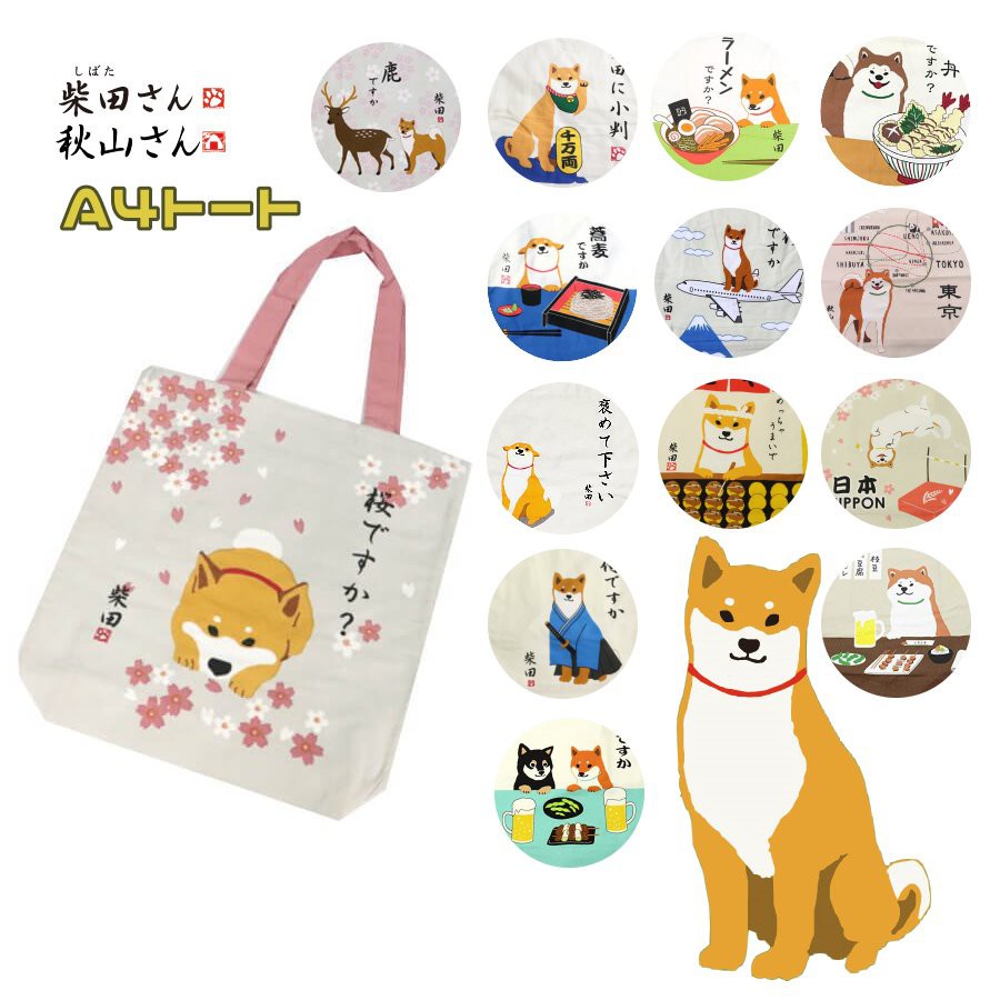 Japanese Eco-Friendly Canvas Bag|Shopping Bag Handbag Can Hold A4 Cloth ...