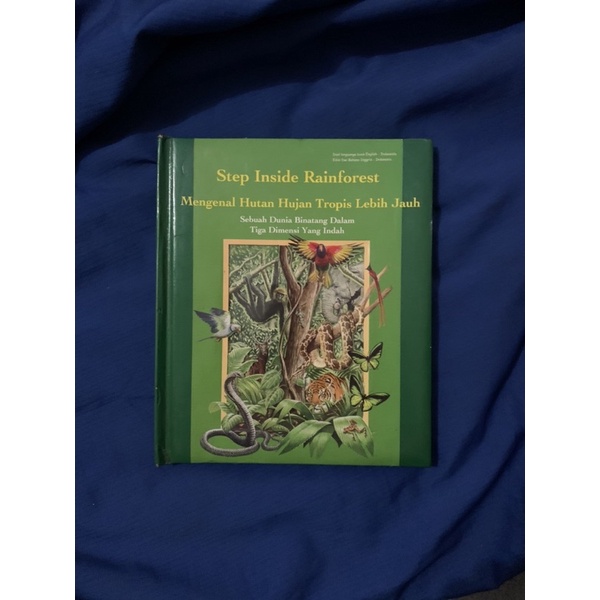 Step inside rainforest: getting to know the tropical rainforest for fur ...