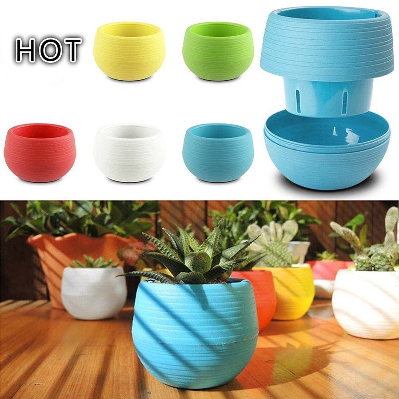 Cute Mini Plant Pot Succulent Plants Flower Pot Saucer Tray Planter ...