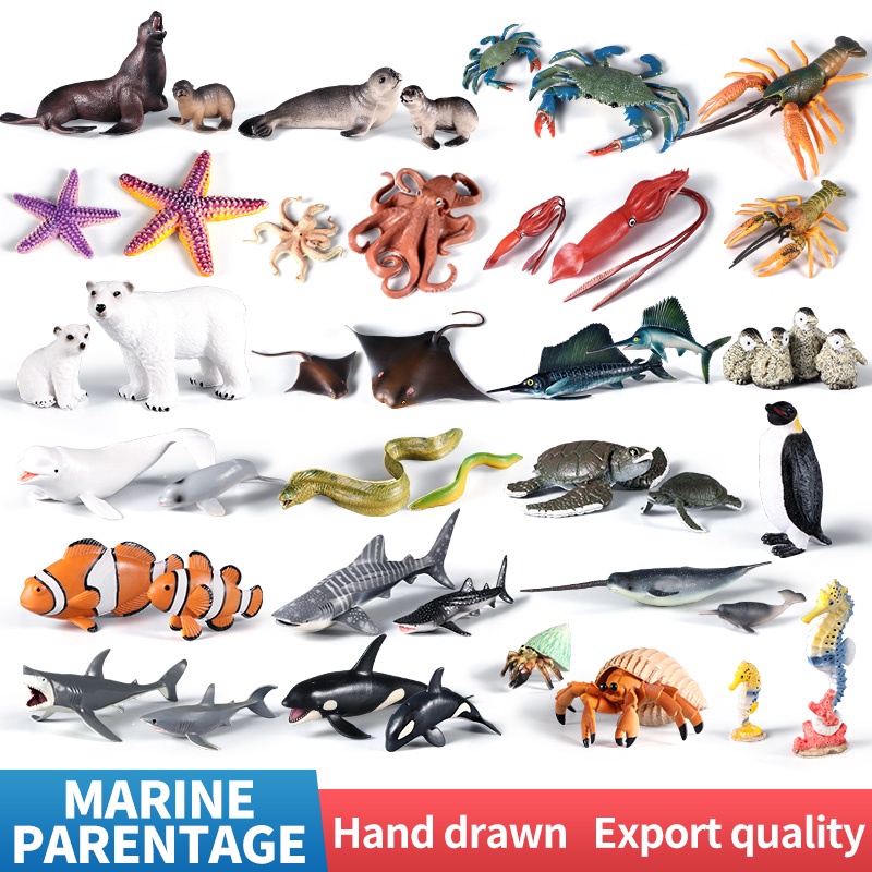 Ocean Fish Animals Model Simulation Sea Life Sailfish Turtle Lobster ...