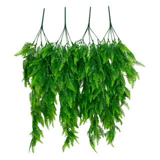 Fern Hot: 2026's Hottest Plant Trend