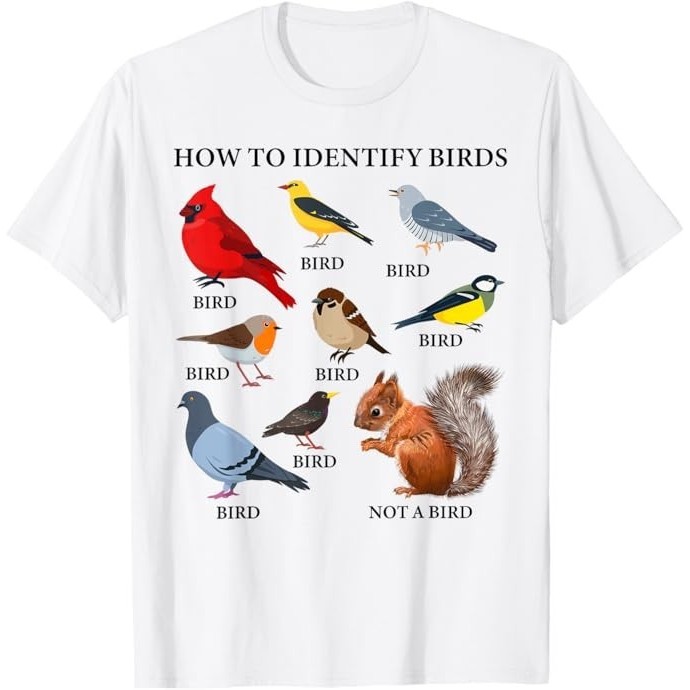 How To Identify Birds Funny Birds Identification Birdwatcher T-Shirt ...