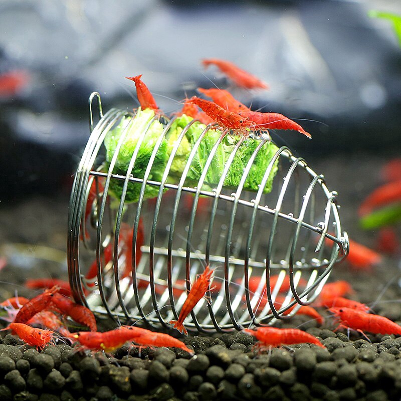 Stainless Steel Aquarium Shrimp Feeding Cage Fish Tank Spinach Food ...