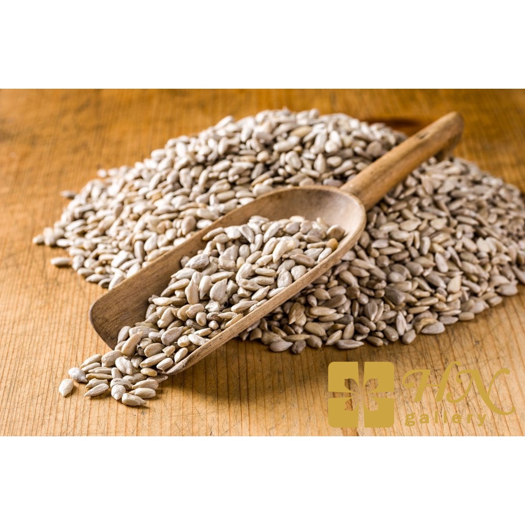 Raw SUNFLOWER SEEDS Biji Bunga Matahari RAW SUNFLOWER SUNFLOWER SEEDS ...