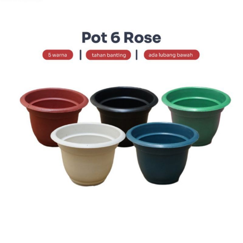 MAWAR Rose FLOWER POT NO. 6 - Diameter 10 CM | Shopee Singapore