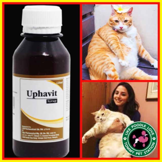 Uphavit Syrup Fever Cat Dog VITAMIN Appetite Fat Cat 120ml | Shopee ...