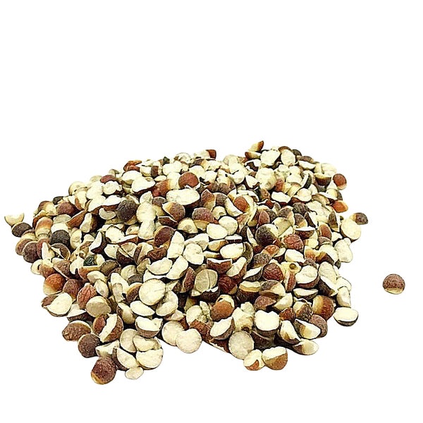 GORDON ENRYALE SEEDS ( QIAN SHI ) 芡实 | Shopee Singapore