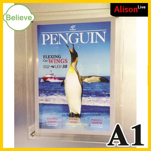 A1 Wall Mounted Clear Acrylic Paperweight Photo/Certificate Frame with ...