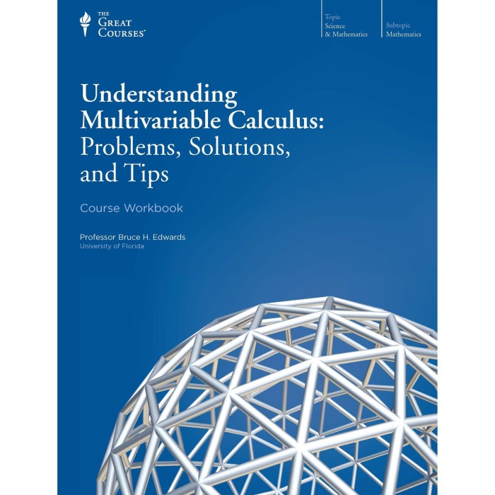 Understanding Multivariable Calculus Problems Shopee Singapore