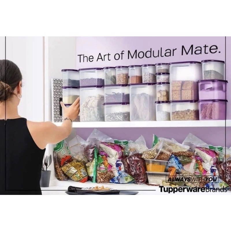 Tupperware Modular Mates Ovals / Rounds / Squares | Shopee Singapore