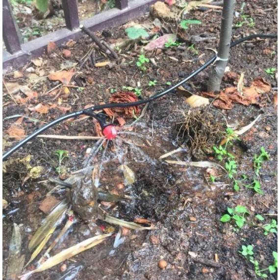 DIY Micro Drip Irrigation System Garden Watering System / Siram Air ...