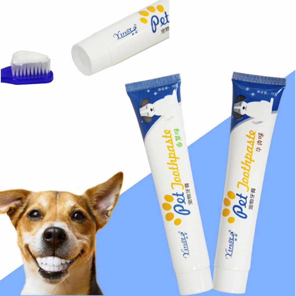 Dog Healthy Edible Toothpaste Small Dog Cats Mouth And Teeth Cleaning ...