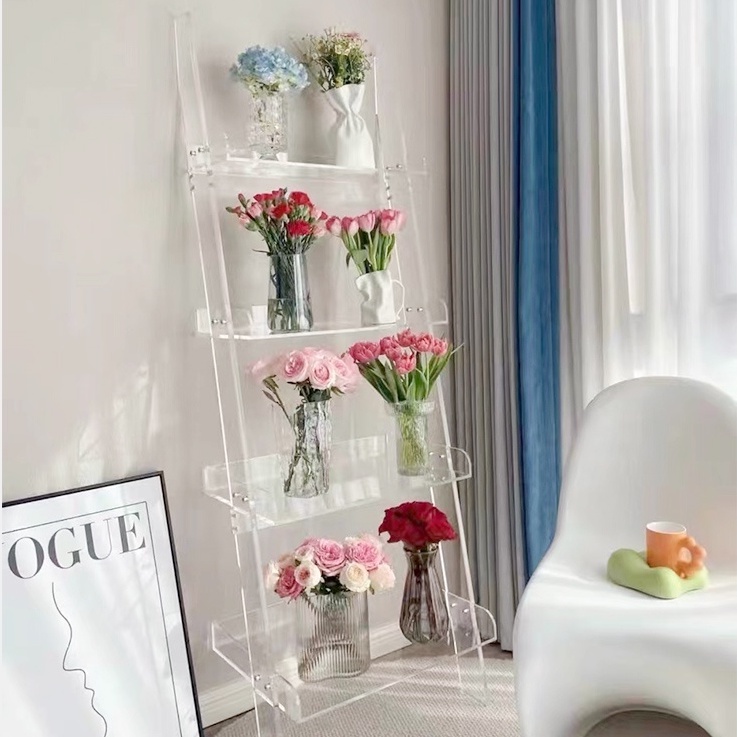 Abla Storing Storage Acrylic Ladder Rack Display Shelf Bookshelf ...