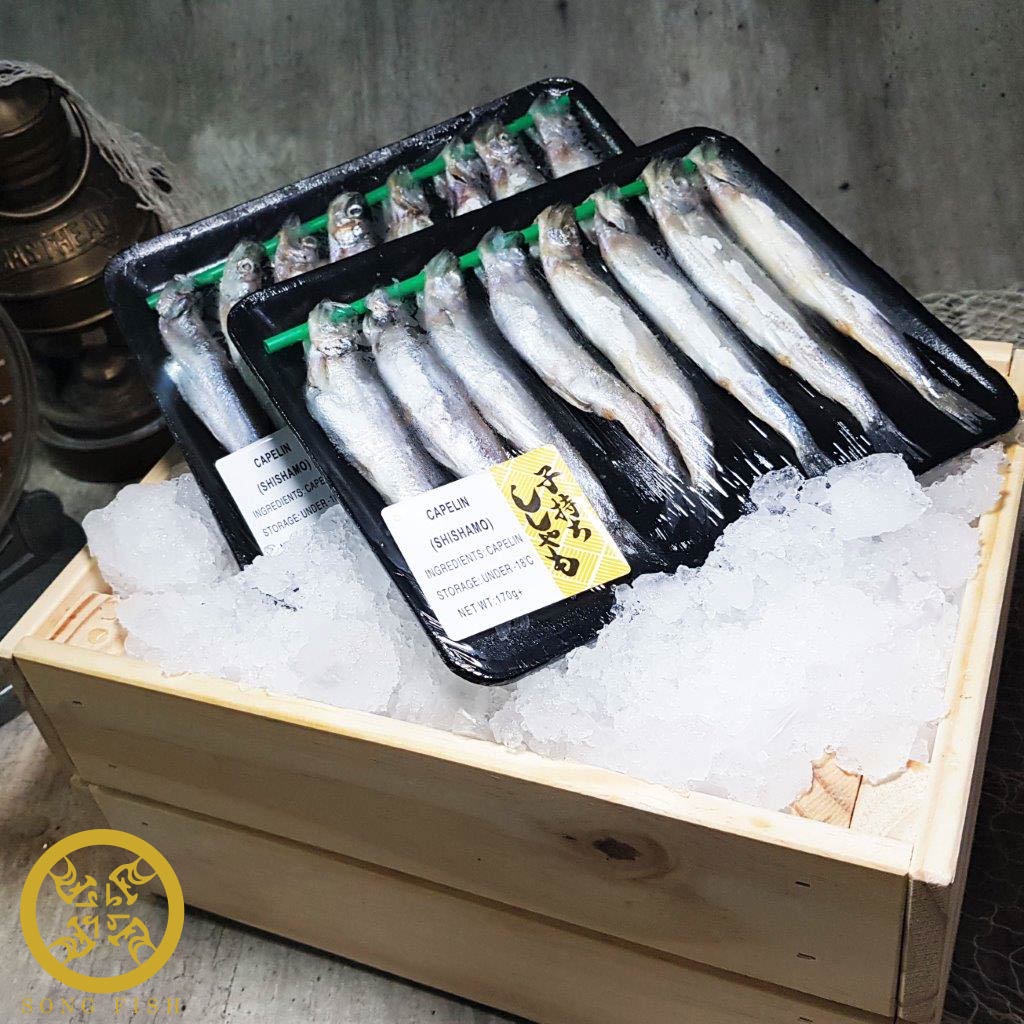 [Song Fish] Shishamo, Frozen [Bundle of 2 trays] | Shopee Singapore
