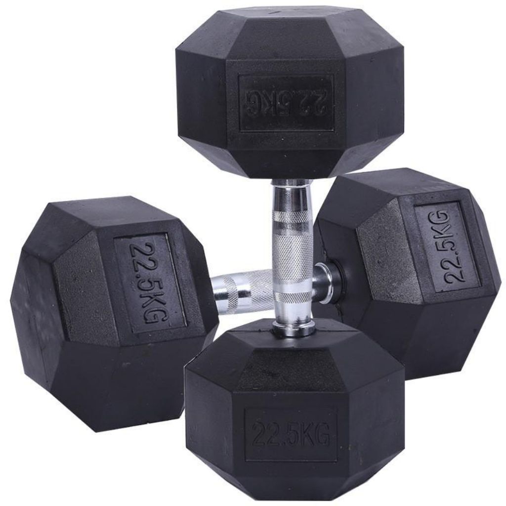 zuishanga.sg Ready stock Rubber Coated Hexagon Dumbbell Hex Dumbbells ...