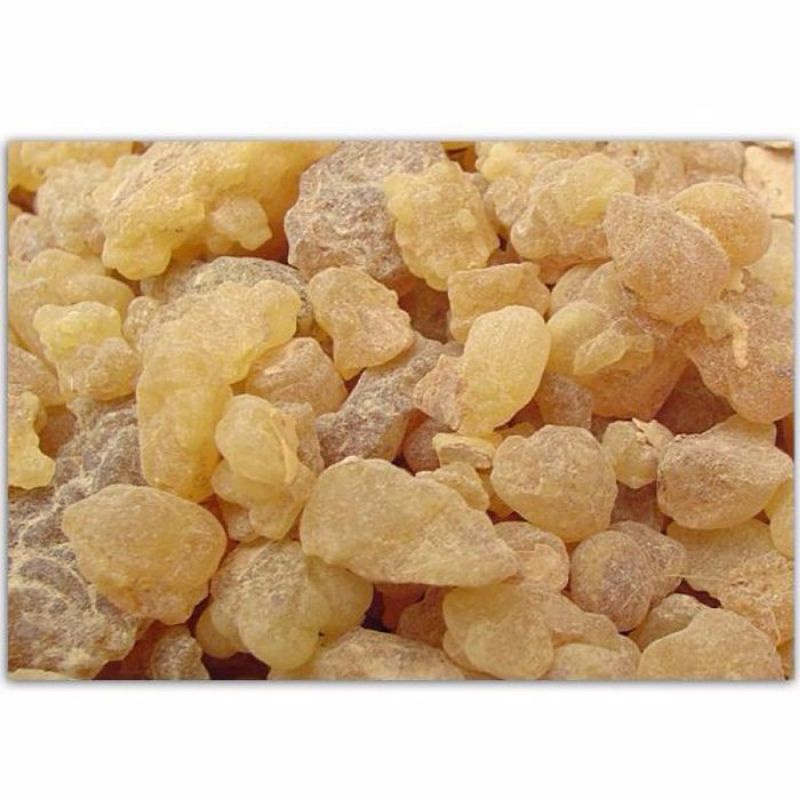 Luban Arab Sap Arabian Frankincense Arabian Room Fragrance and Natural ...