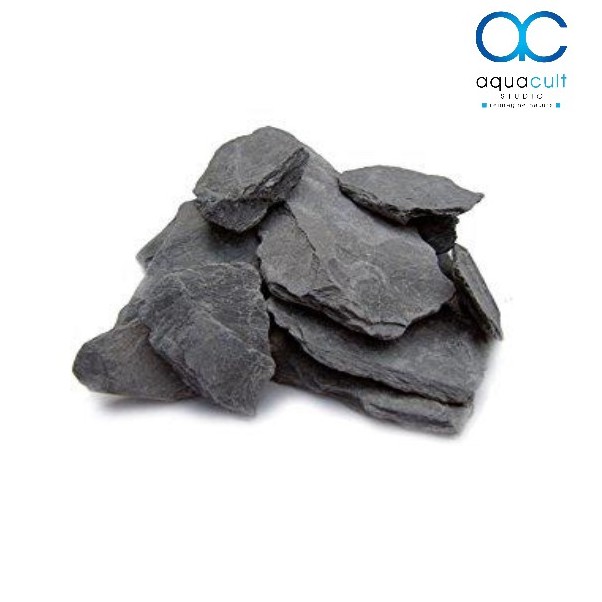 GREY SLATE ROCK 1KG - (Aquascape/Aquarium/Vivarium/Paludarium/Rock ...