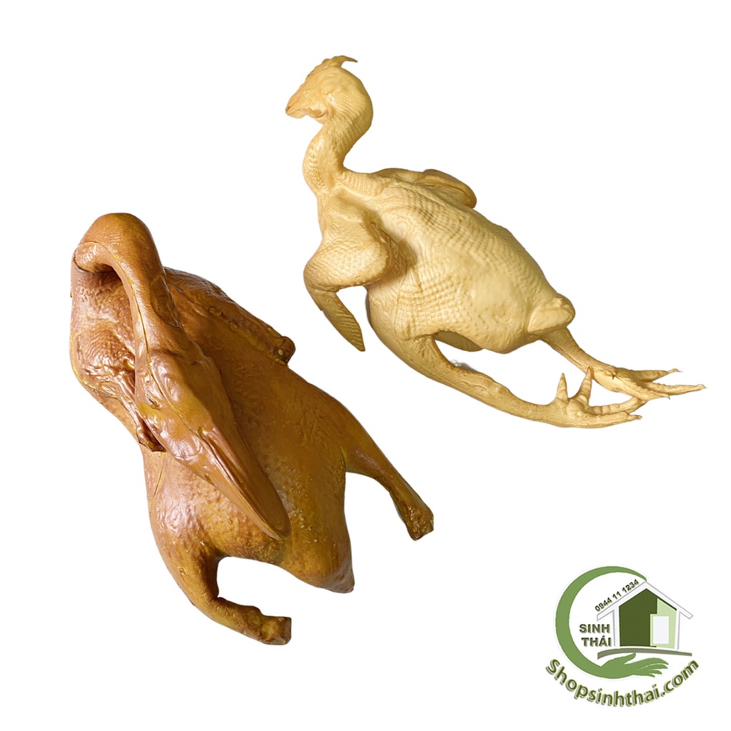 Fake grilled chicken and duck models - Boiled chicken, roast duck ...