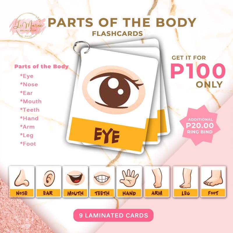 BODY PARTS BASIC BODY PARTS Laminated Flashcards Educational Toys ...