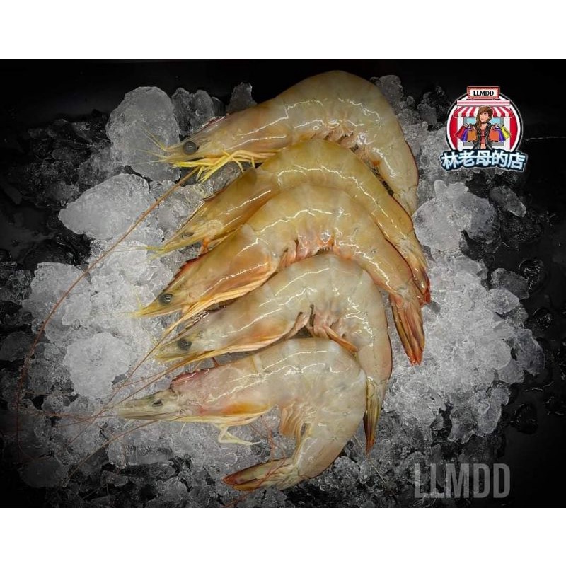 Fresh Ang Kar Prawn 红脚虾 ($35 per kg) | Shopee Singapore