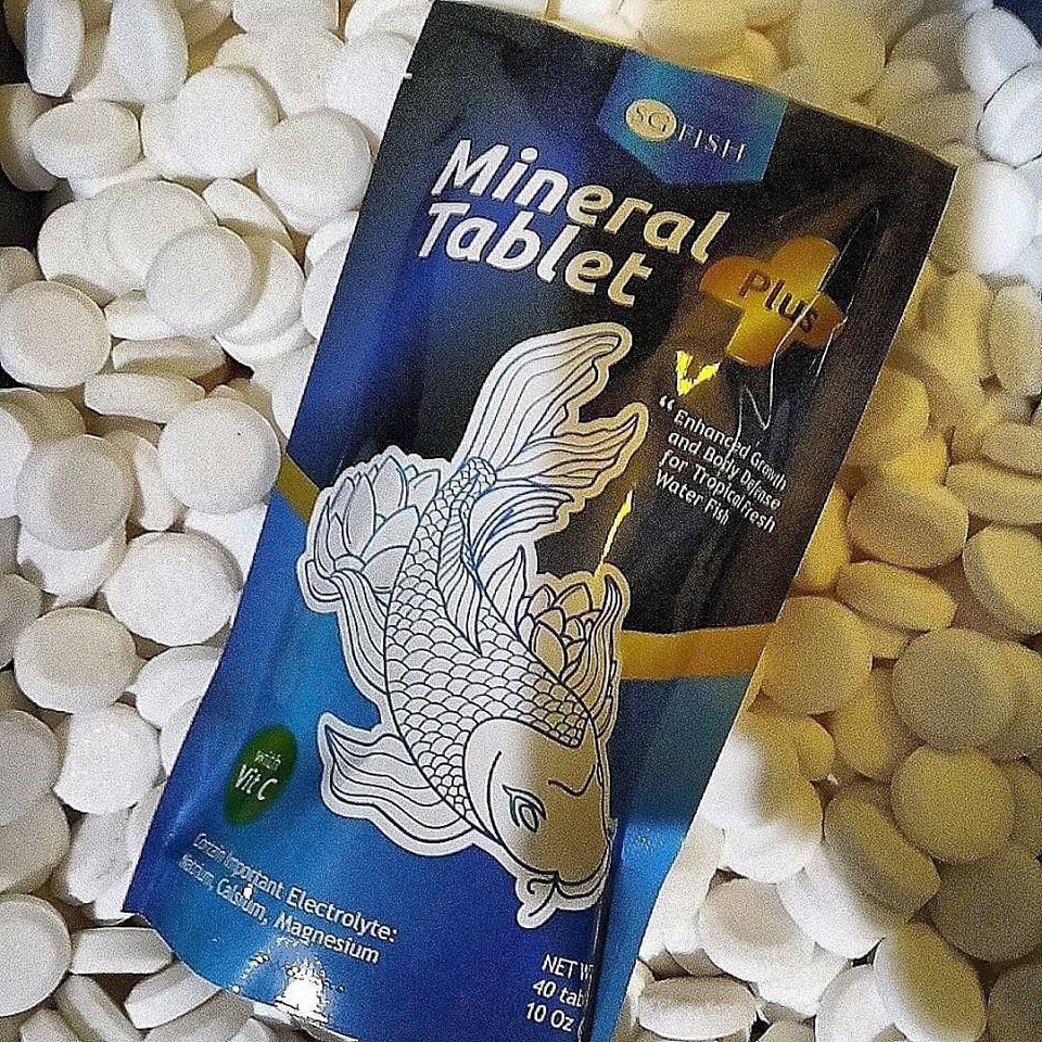 Mineral Tablets SG Fish Plus Vitamin C Fish Salt 280 grams 40 Tablets ...