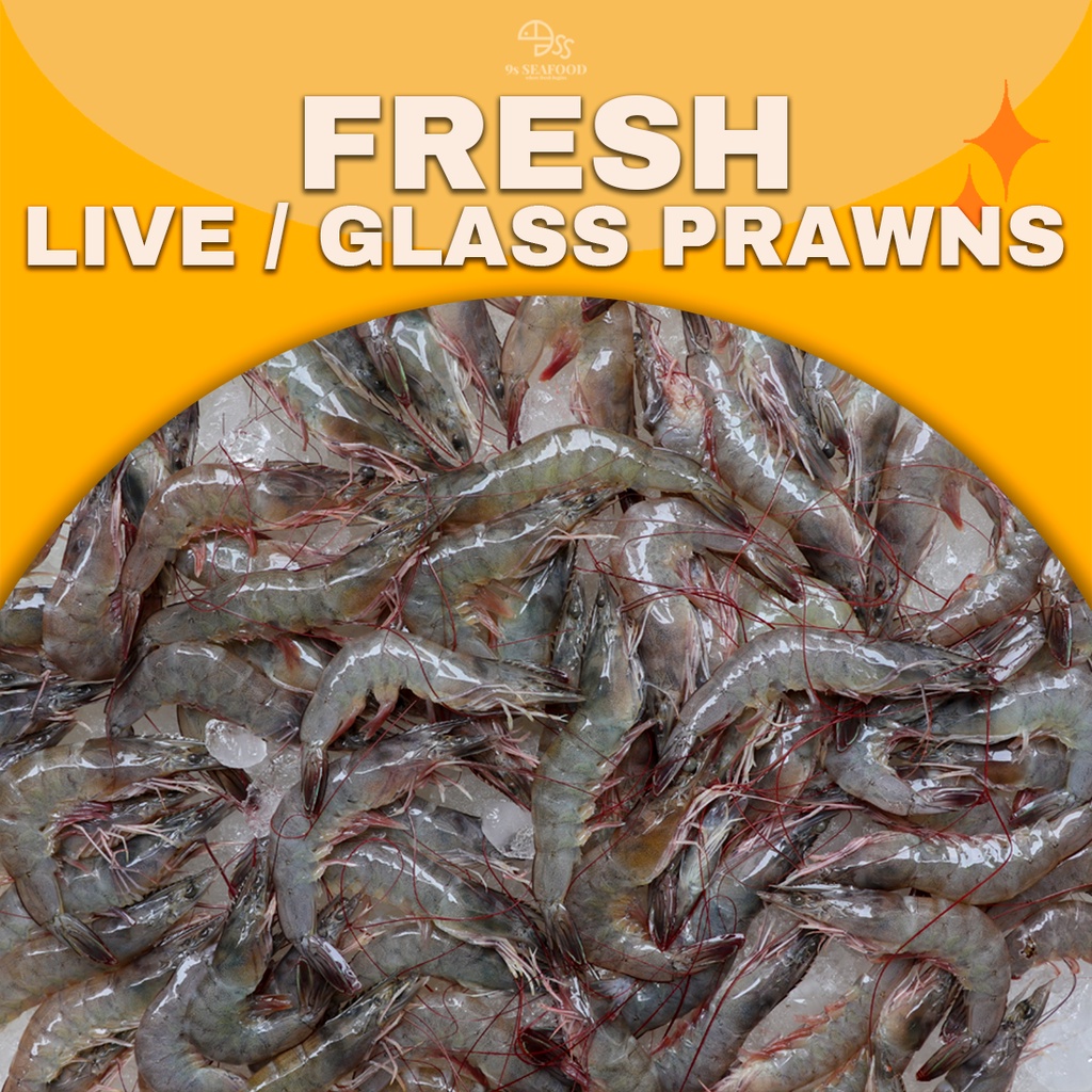 9S Seafood Fresh Live/Glass Prawn 活虾 | Shopee Singapore
