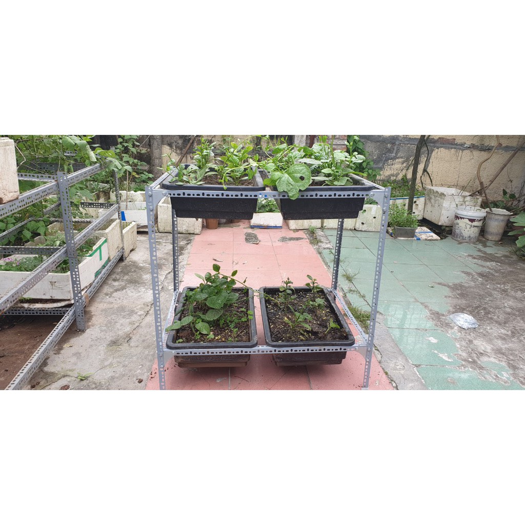 Smart assembled vegetable growing shelf with 2-tier anti-rust powder ...