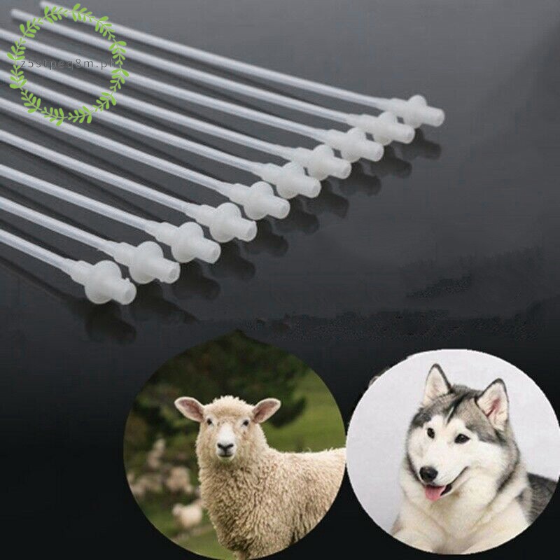 50PCS Artificial Insemination Rods Breeding Catheter Tube Dog Sheep ...