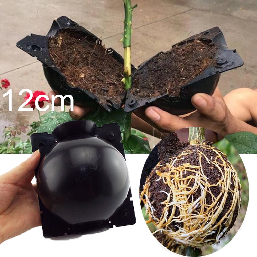 Plant Rooting Ball 12cm High Pressure Grafting Growing Box Breeding ...
