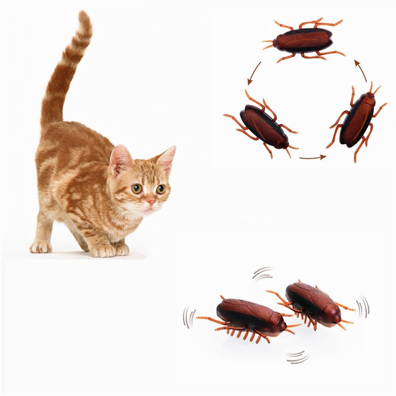 Electronic Cockroach Dog Cat Playing Toy Battery Powered Running Insect ...