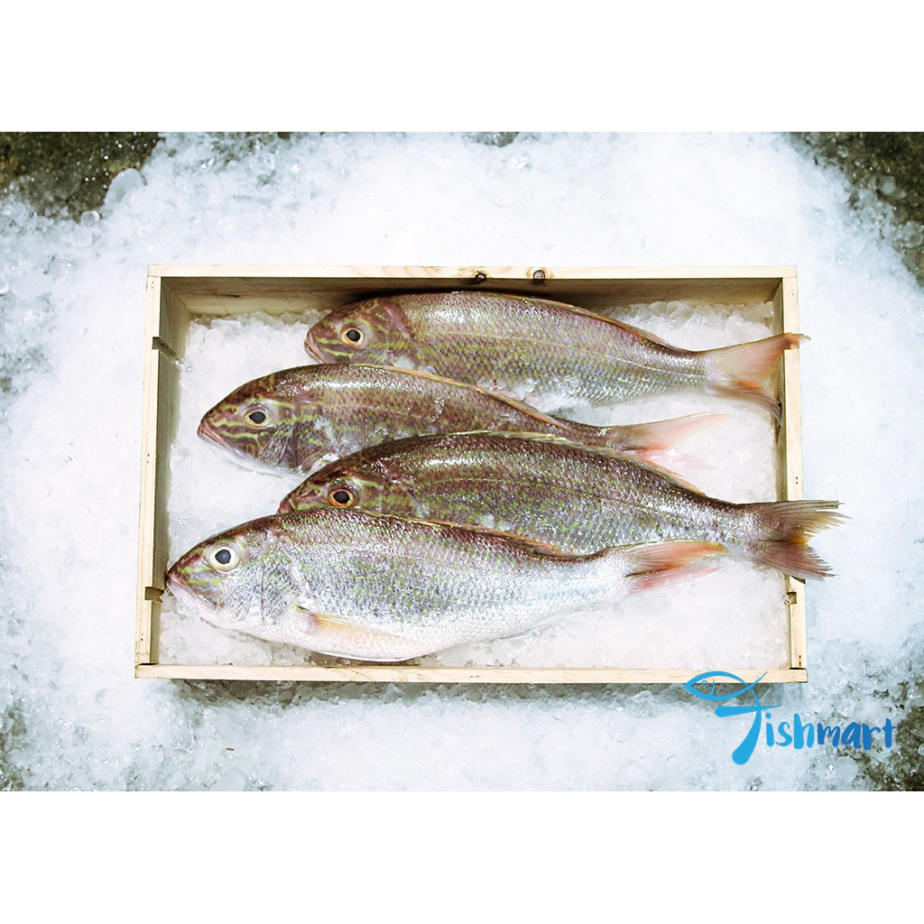 Ang Go Li Whole (400 to 500g) | Shopee Singapore