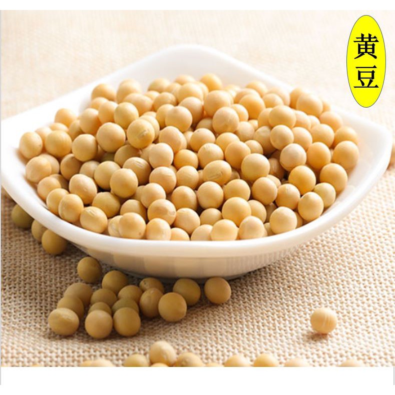 Soybean Huang Dou 黄豆 2kg | Shopee Singapore