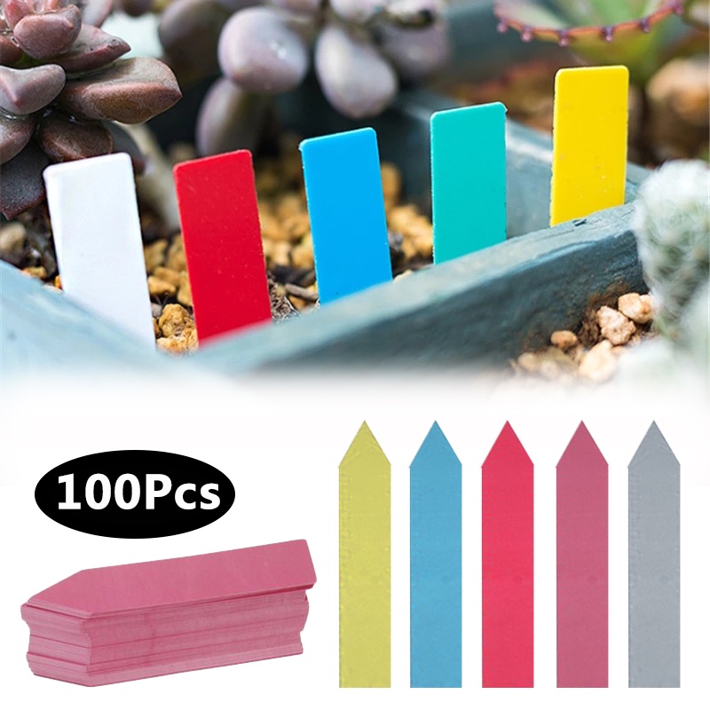100Pcs Colorful Plant Plug-in Labels / Nursery Plants Classification ...