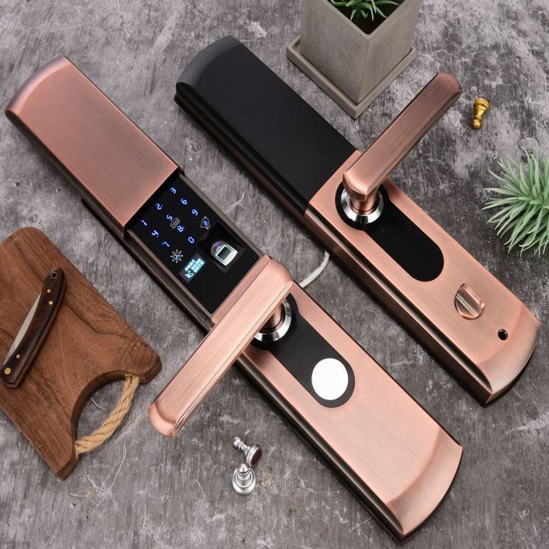 Smart Lock Fingerprint/IC card/Passcode Electronic Biometric Code ...