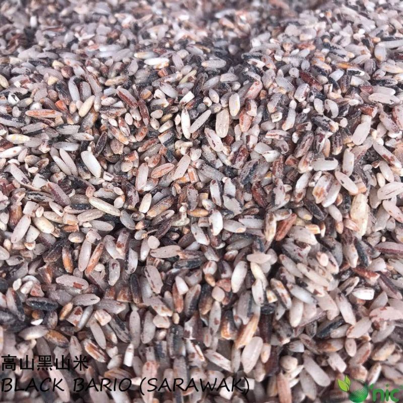 Sarawak Black Bario Rice 5KG | Shopee Singapore