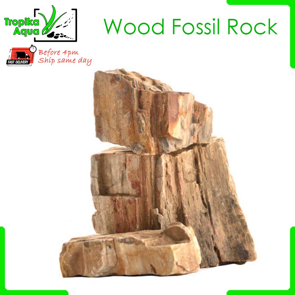 Wood Fossil Rock Purified Wood Rock aquarium aquascape fish tank ...