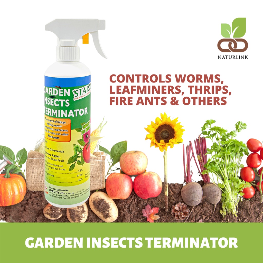 STARX Garden Insects Terminator (500ml) Spray | Spinosad | Insects ...
