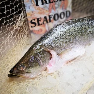 Seafood Market Place by Song Fish, Online Shop Mar 2025 | Shopee Singapore