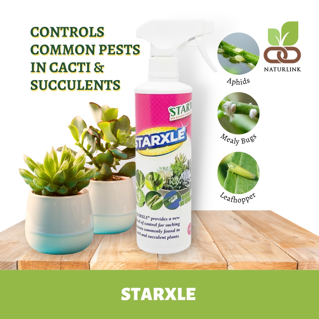 STARX STARXLE Spray (500ml) | Kills Aphids, Mealy Bugs, Mites, Scales ...