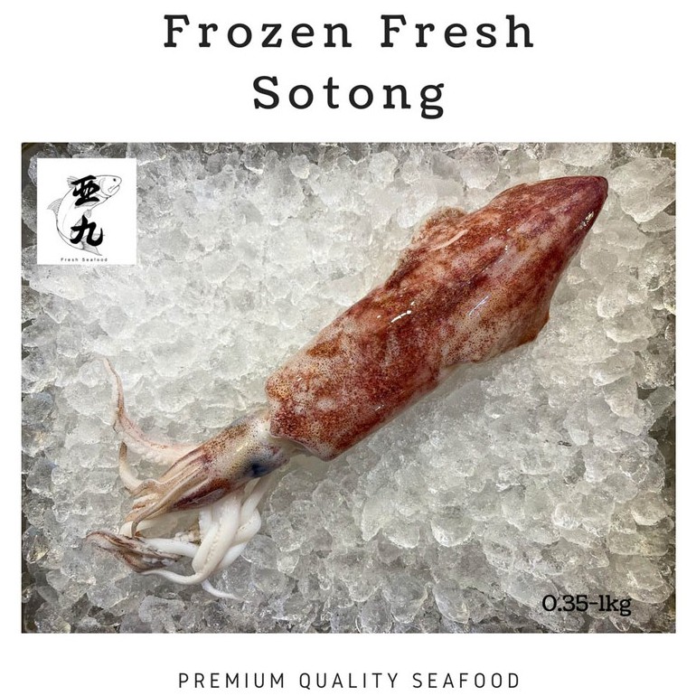 [Ah Kow Fresh Seafood] Frozen Fresh Sotong / Squid 400g/550g/1.1kg ...