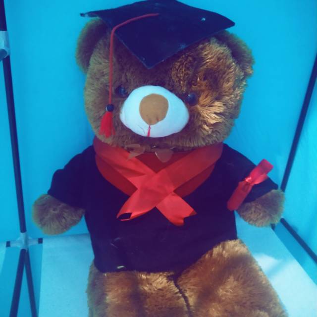 Teddy bear Graduation Doll XL 70cm | Shopee Singapore