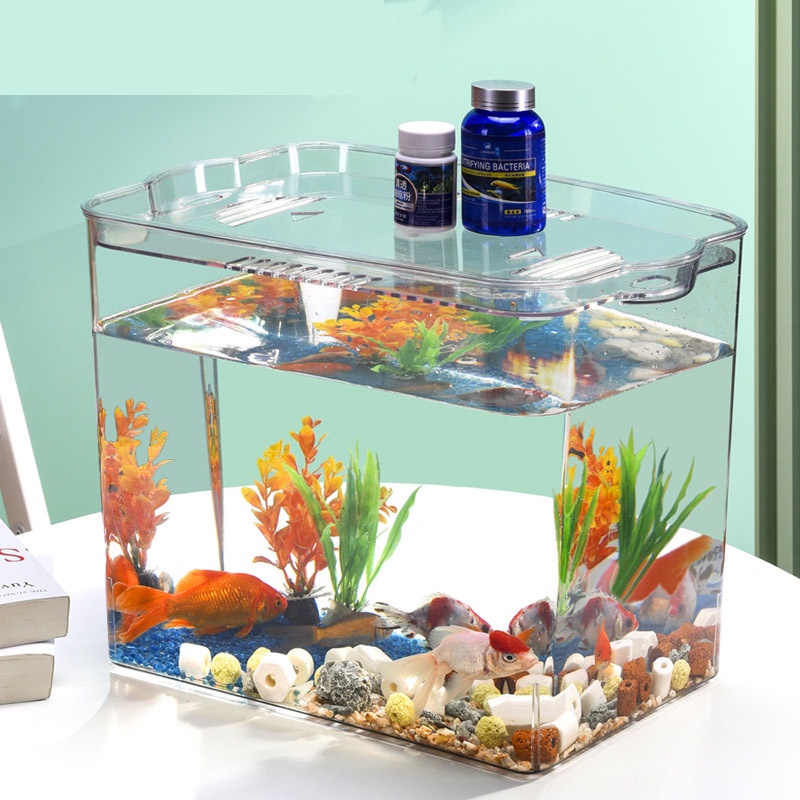 PET Transparent Fish Tank Aquarium with Cover | Shopee Singapore