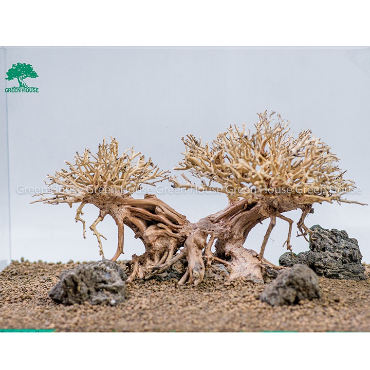 Bonsai driftwood, aquatic driftwood used to decorate aquariums ... Bonsai driftwood, aquatic driftwood used to decorate aquariums ...