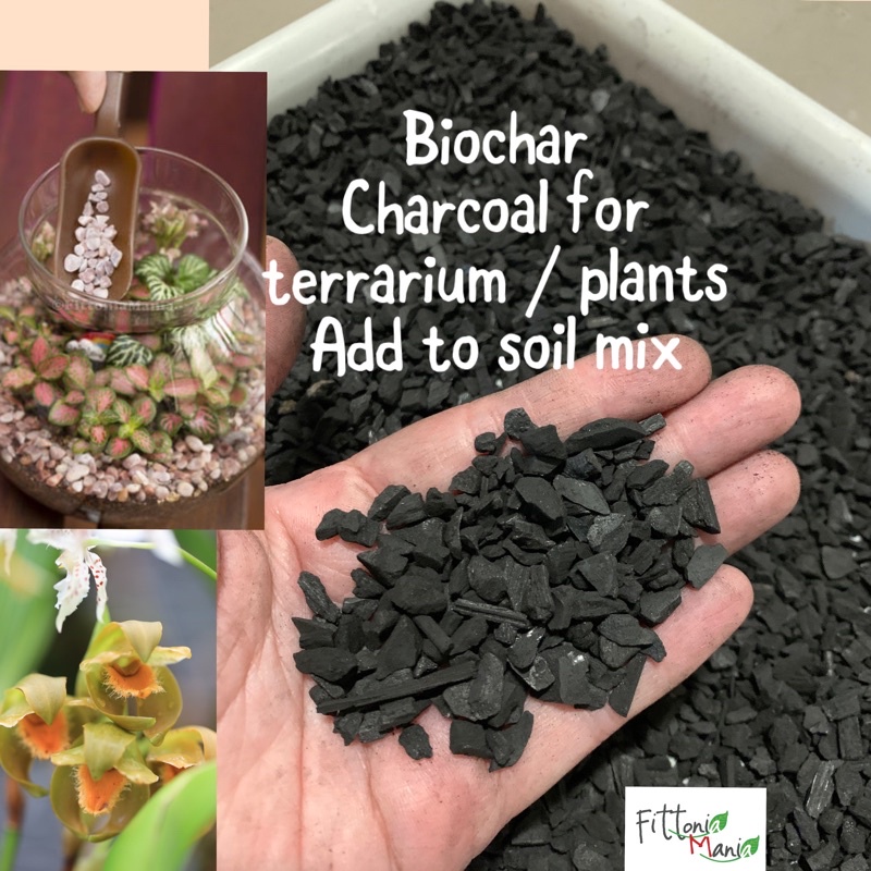 🌳In Stock🌳Charcoal for plants and terrarium. Biochar. Soil mix ...