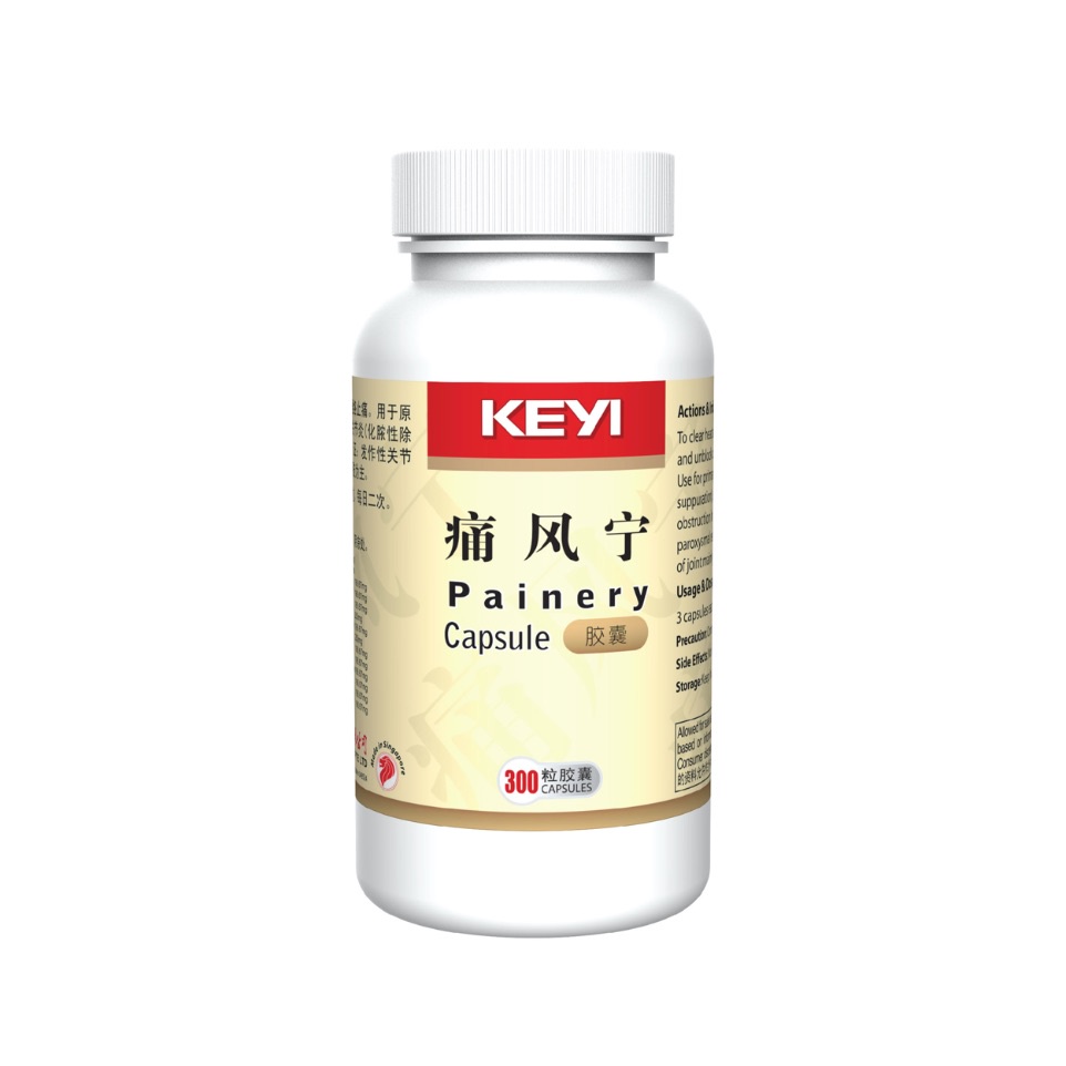 [LATEST STOCK NEW PACKAGING] Mei Hua Painery Relief Gout Chronic ...