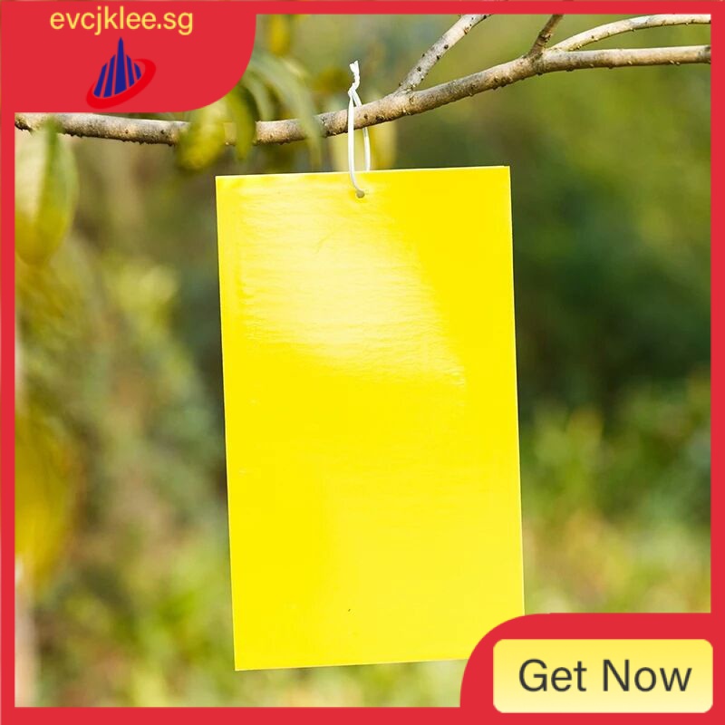 100 Pcs Garden / Flower Pot insect and flies trap / Bugs Sticky Fly ...